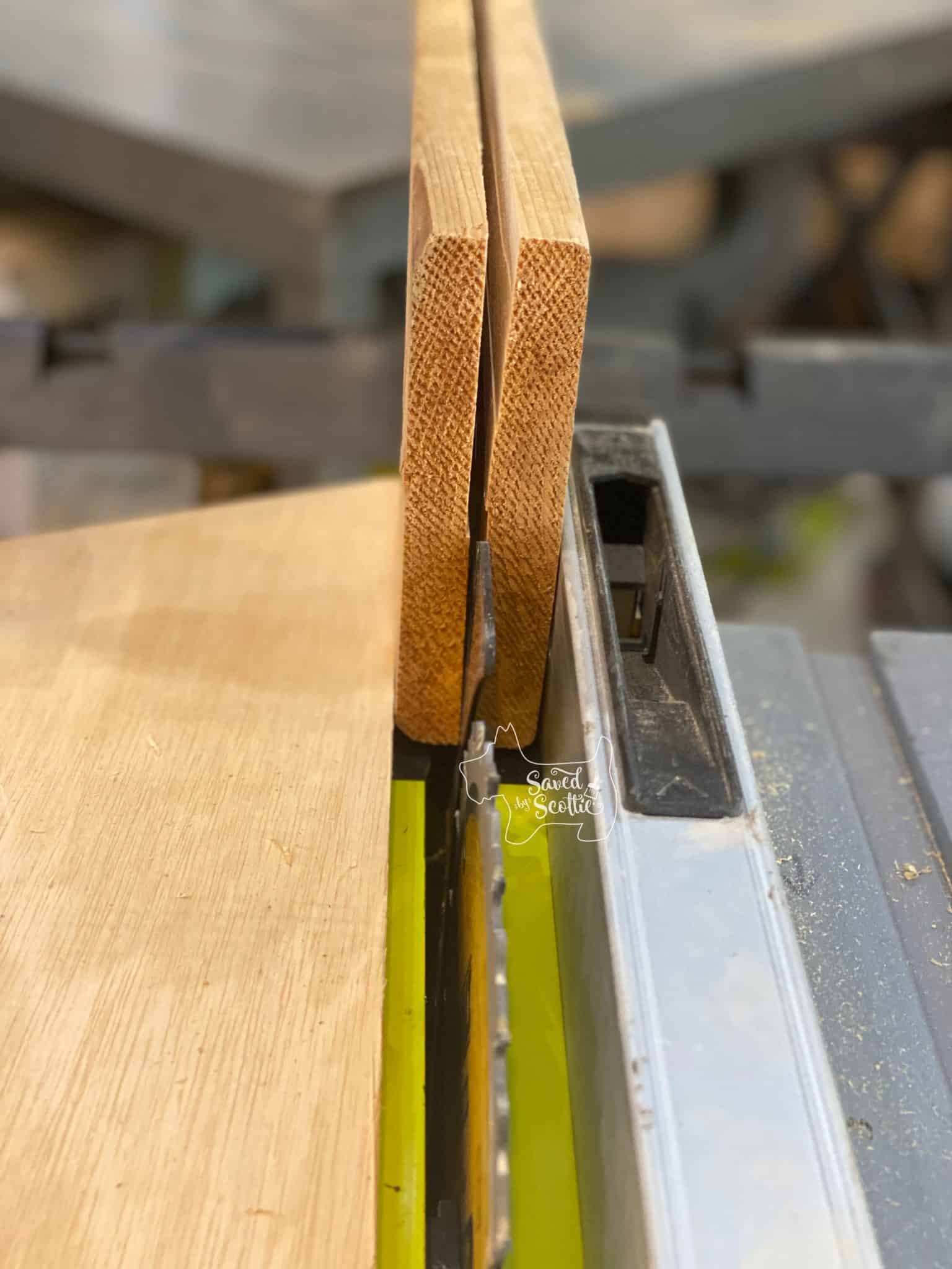 Resawing lumber using a table saw - Saved by Scottie